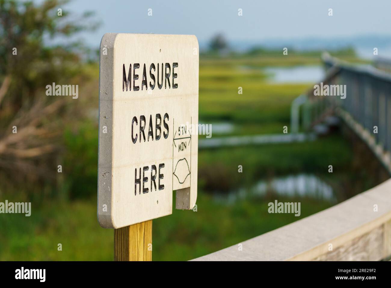 "Measure Crabs Here" sign along a boardwalk at Assateague, with blurred ...