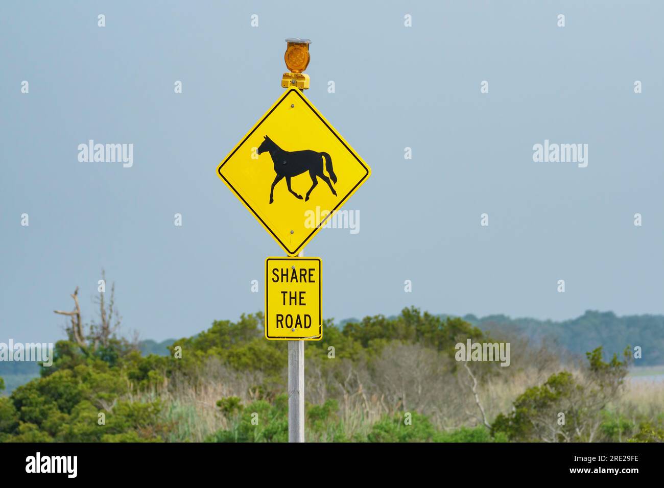 Share the road sign with a wild horse symbol on Assateague island Stock ...