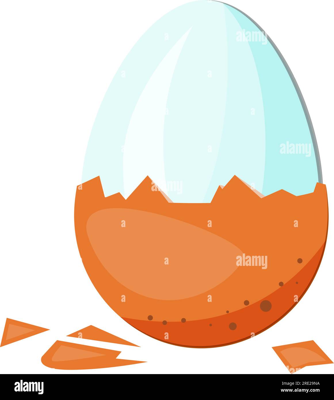 Cleaned egg illustration Stock Vector Image & Art - Alamy