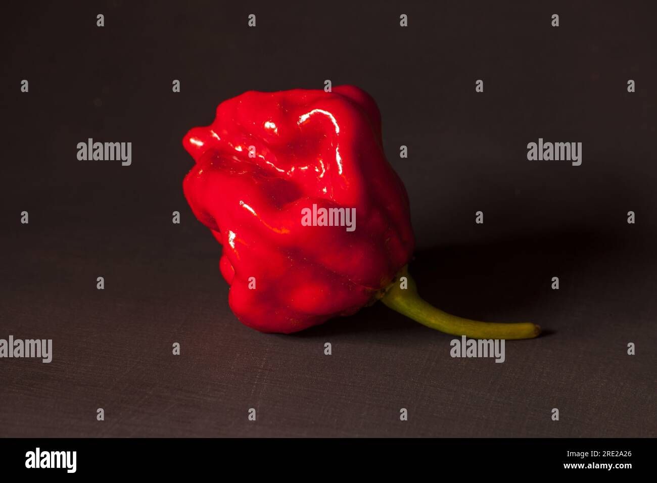 Carolina reaper chili (Capsicum chinense) 10479 Stock Photo - Alamy