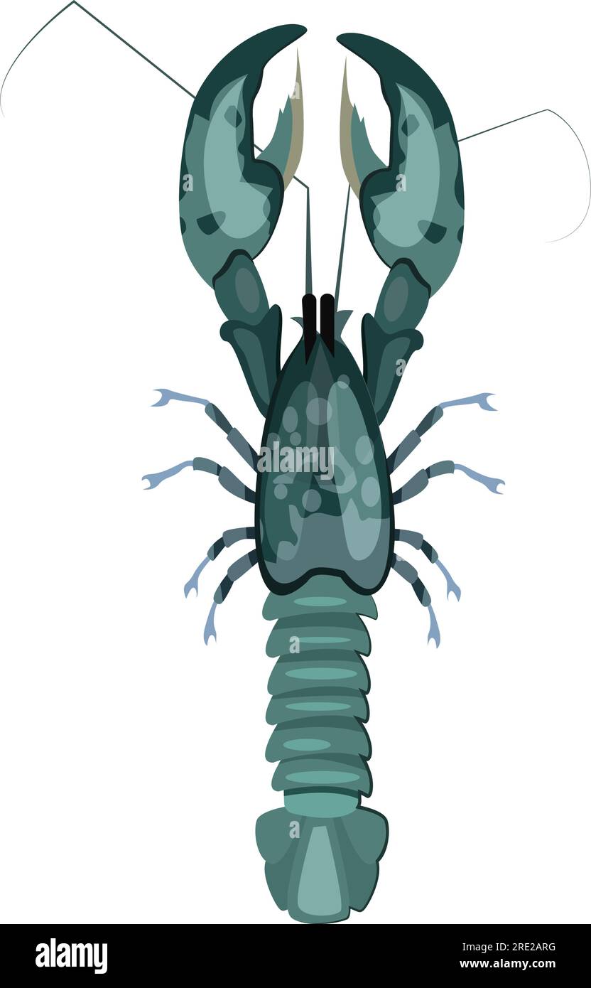 Raw lobster illustration Stock Vector Image & Art - Alamy