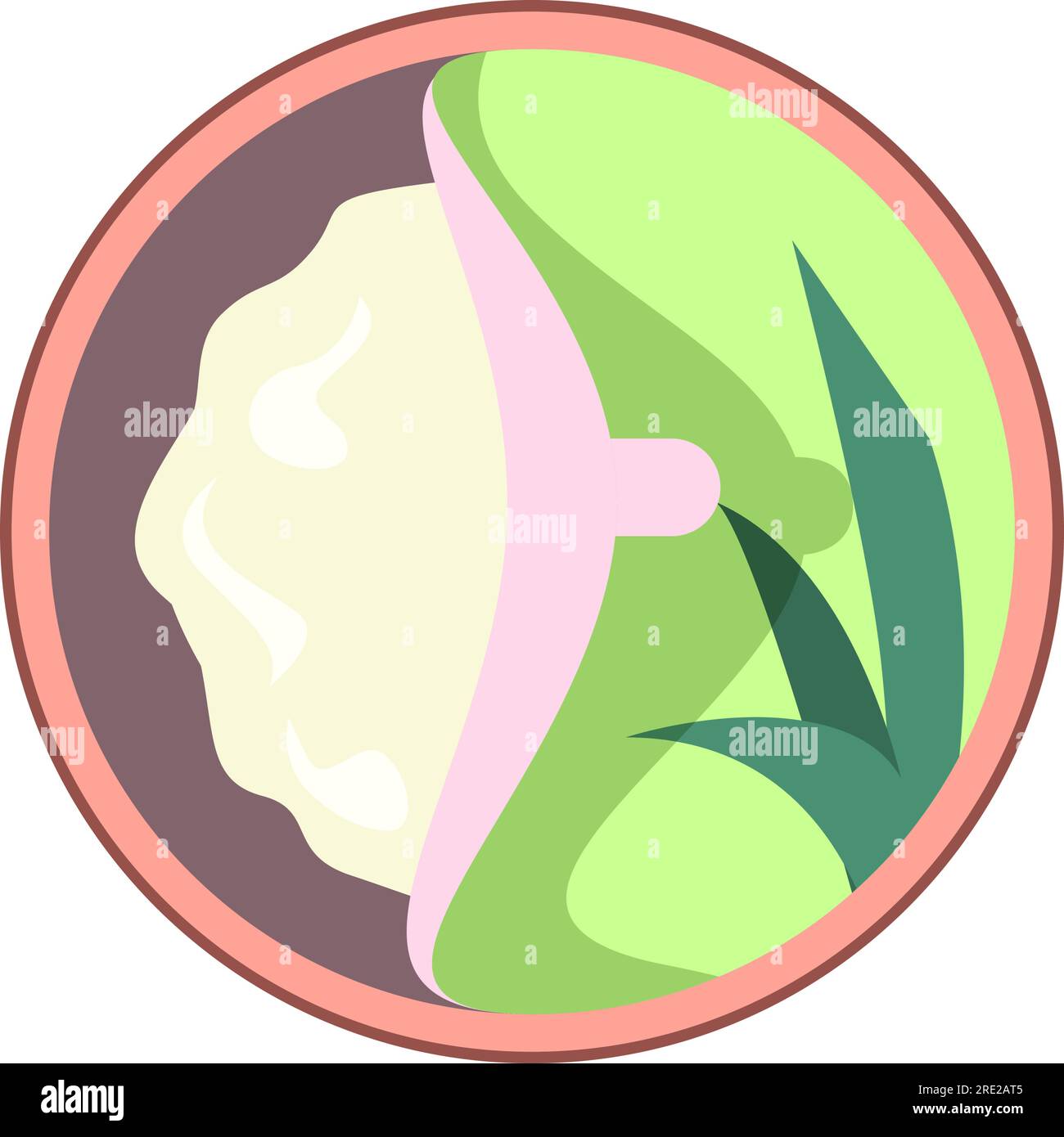 Aloe vera body butter illustration Stock Vector Image & Art - Alamy