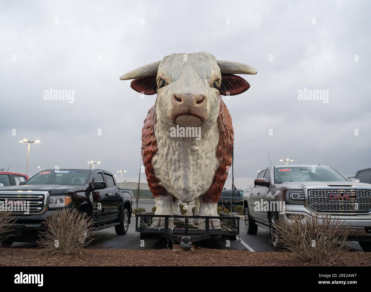 A bull mascot graces the parking lot of a GMC Dealership in ...
