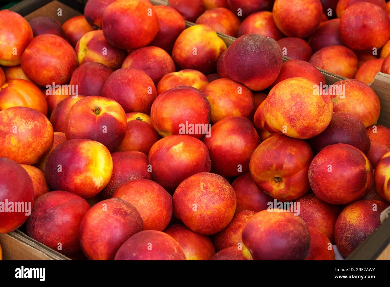 Showcase with nectarines. Food market, close-up Stock Photo - Alamy
