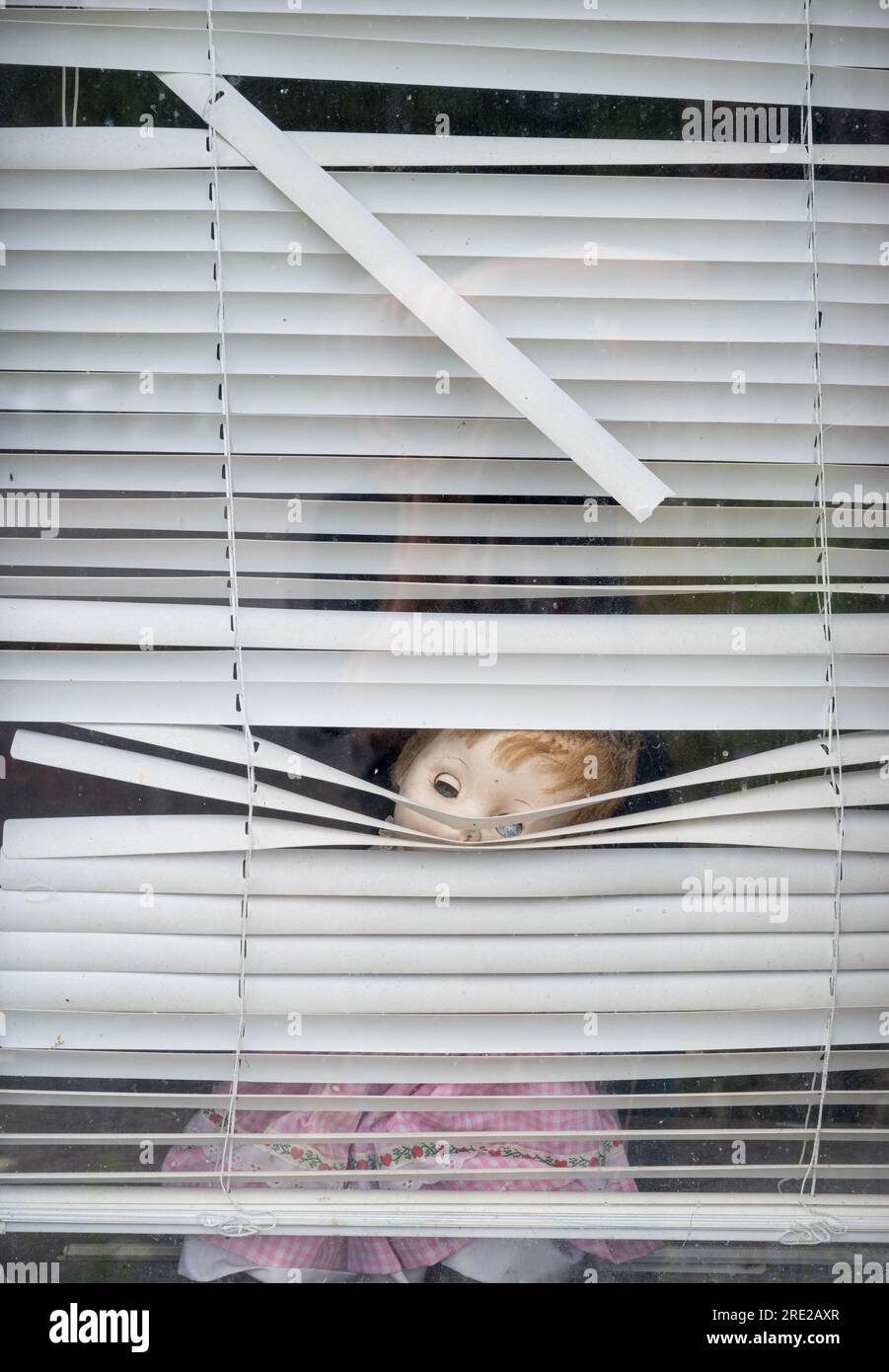 A doll peeks out the window of an abandoned house Stock Photo - Alamy