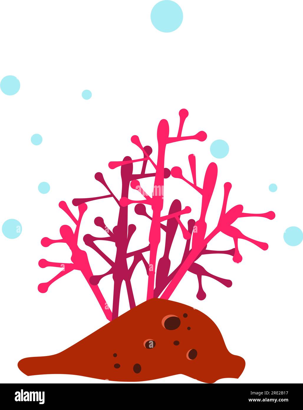 Soil algae Stock Vector Images - Alamy