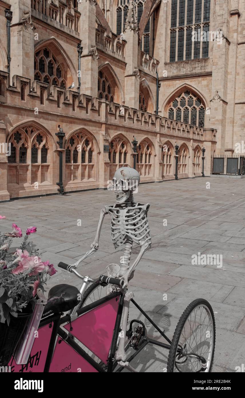 Skeleton in bath hi-res stock photography and images - Alamy