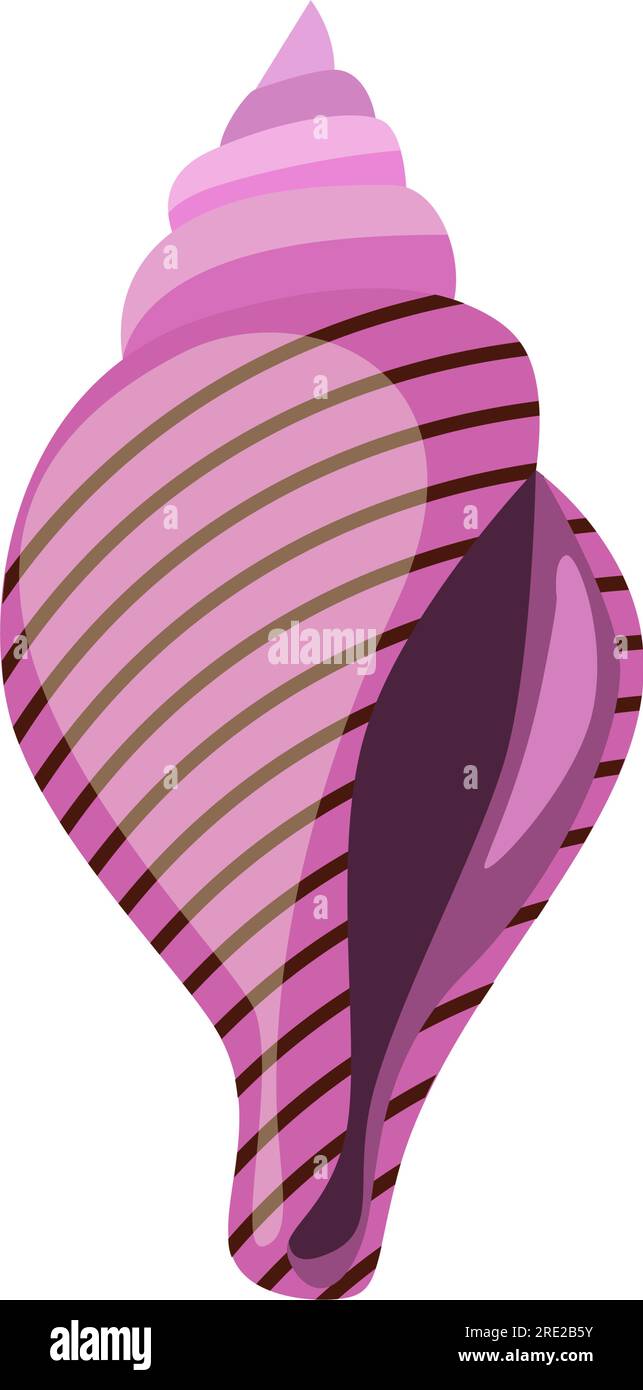 Pink sea shell with stripes illustration Stock Vector Image & Art - Alamy