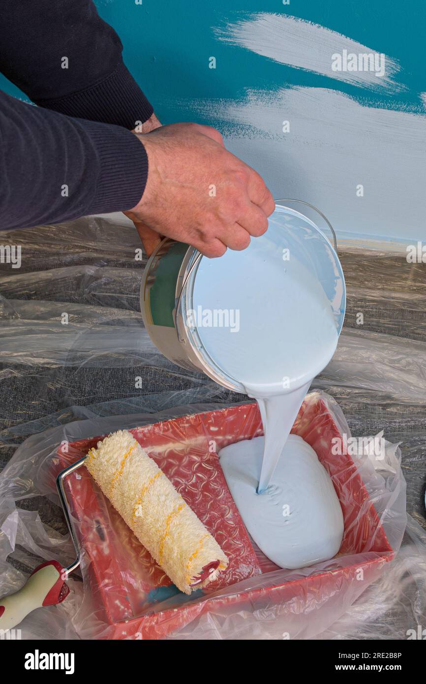 Filling the paint roller tray with paint. Painting the walls with a ...