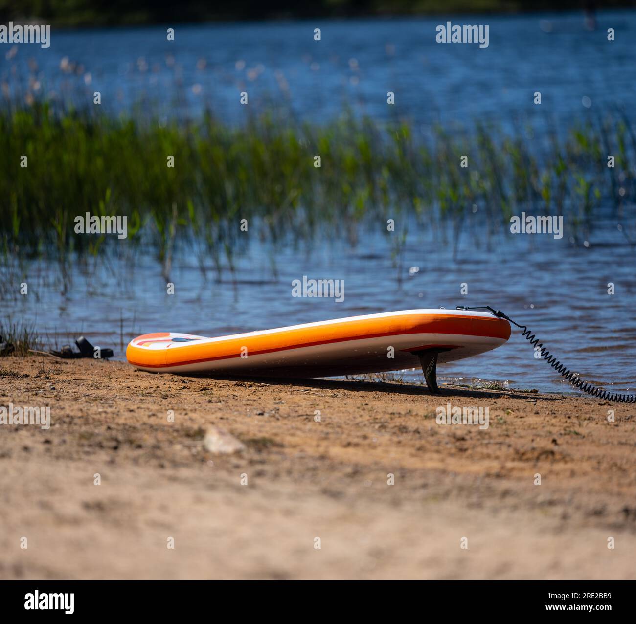 Stand up paddle board on a sand beach Stock Photo - Alamy