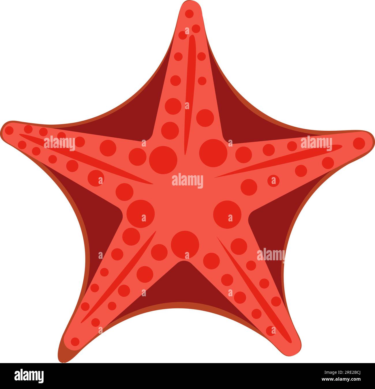 Bright red starfish illustration Stock Vector Image & Art - Alamy