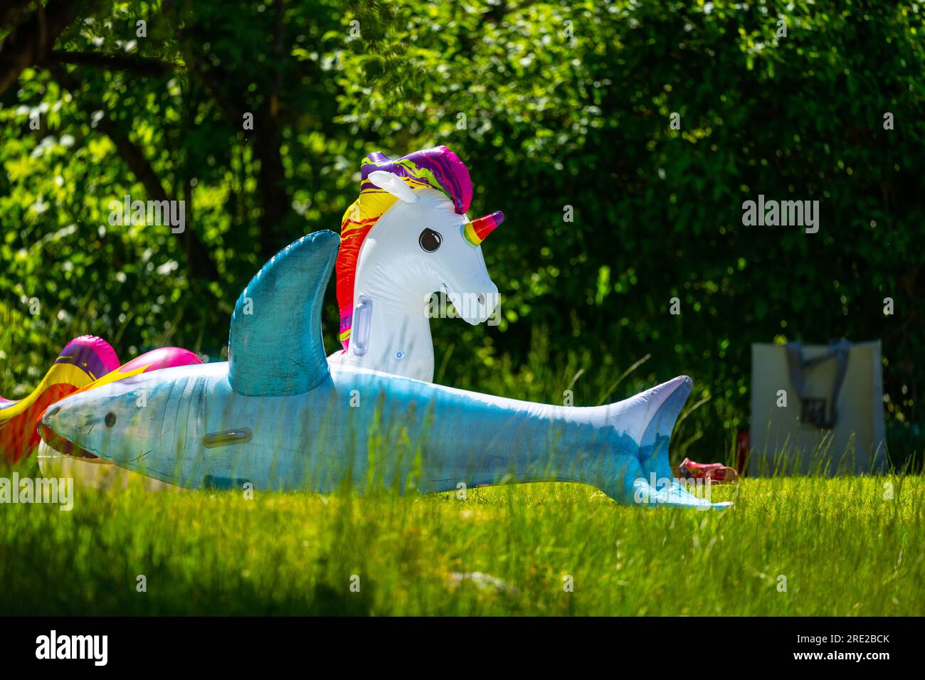Inflatable rafts shaped as a unicorn and a shark on grass Stock Photo ...