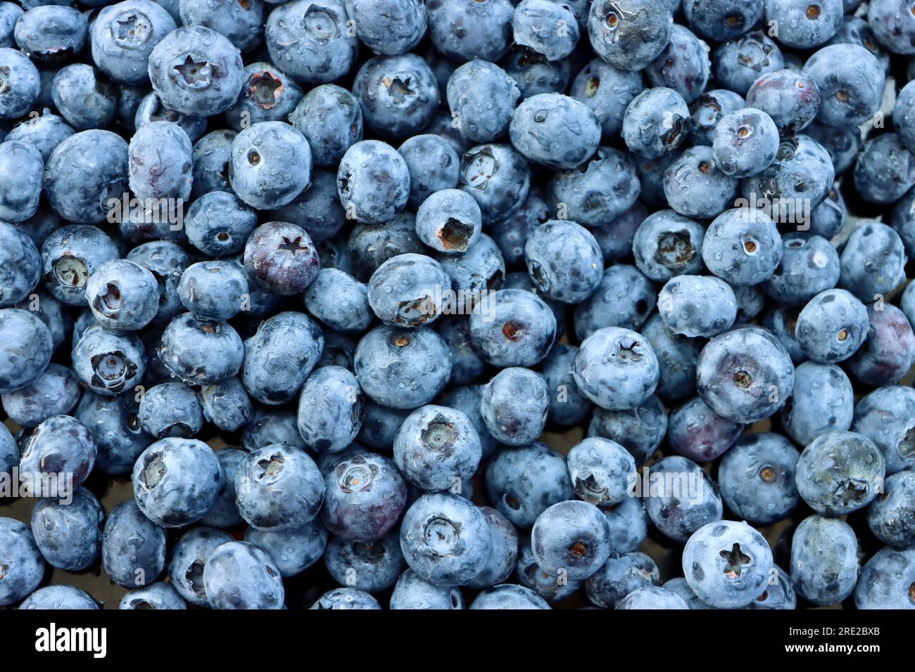 Dark blue berry hi-res stock photography and images - Alamy