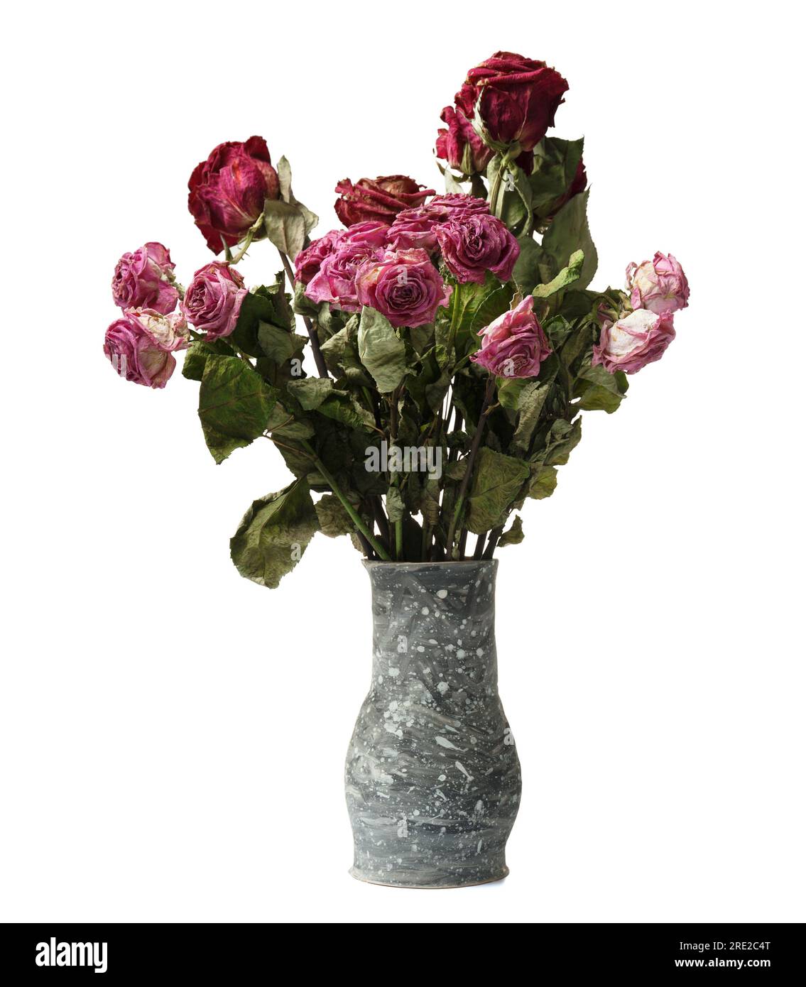 Bouquet of dry roses in a handmade clay vase on a white background ...