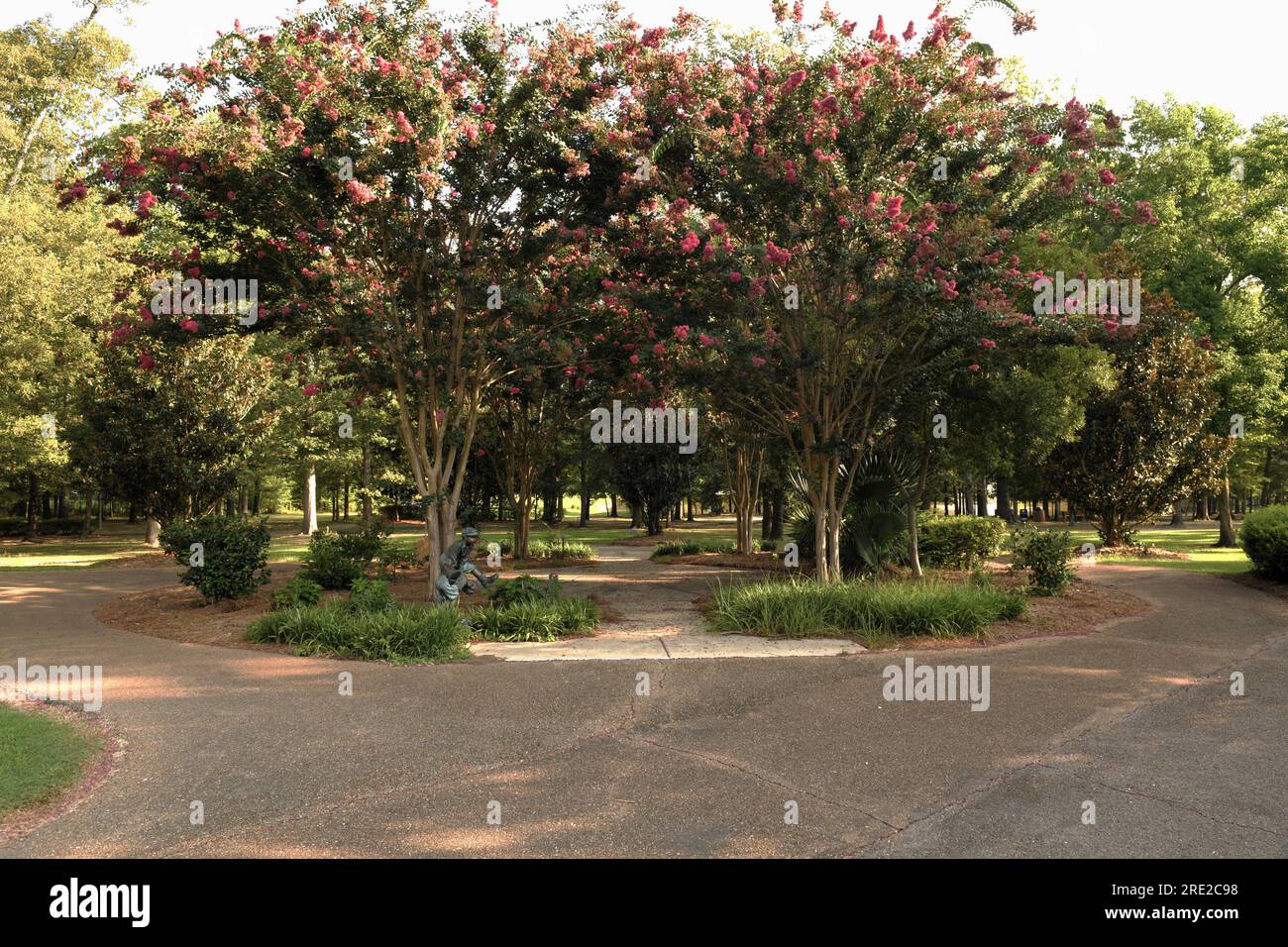 Flowood mississippi hi-res stock photography and images - Alamy