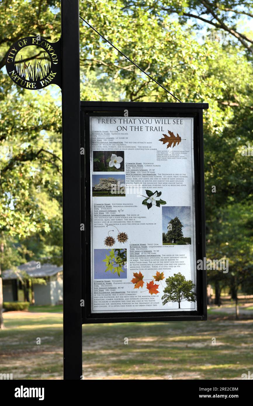 Flowood Nature Park wetland habitat Stock Photo - Alamy