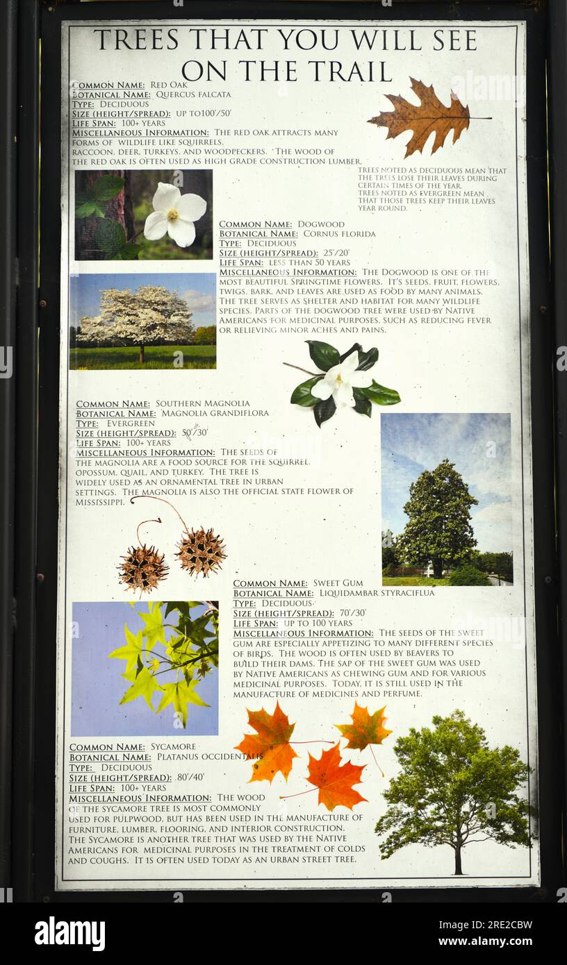 Flowood Nature Park wetland habitat Stock Photo - Alamy