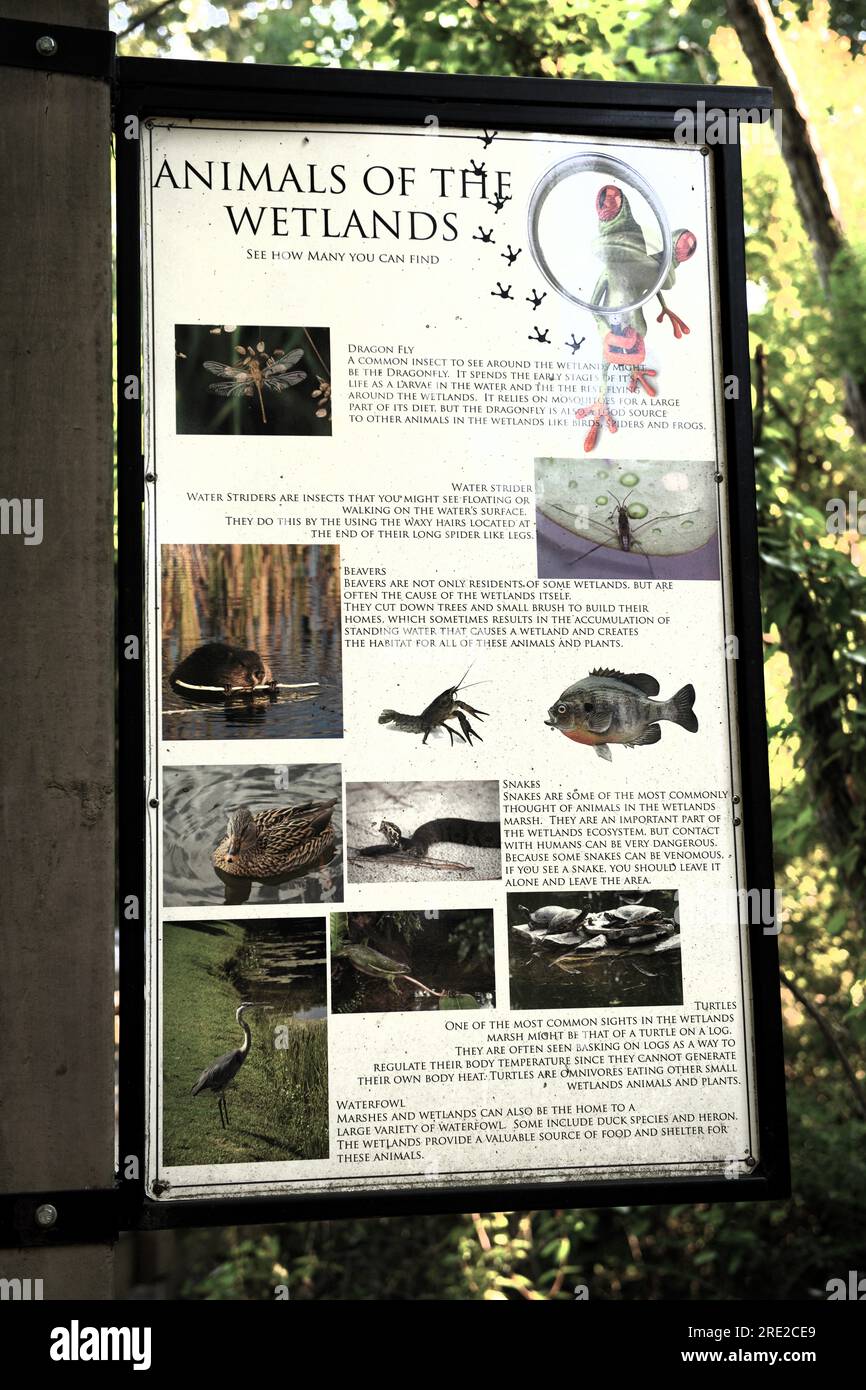 Flowood Nature Park wetland habitat Stock Photo - Alamy