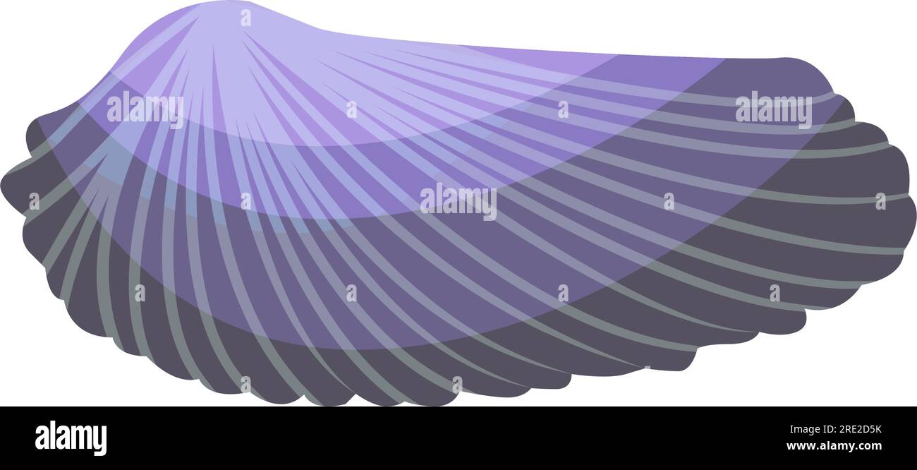 Big purple seashell Stock Vector Image & Art - Alamy