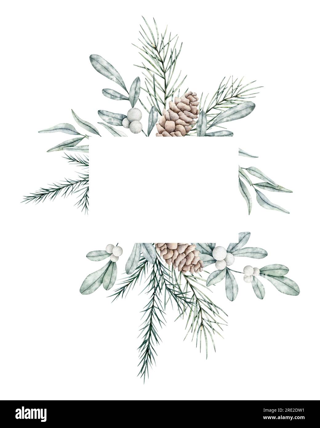 Evergreen Tree Branch Drawing