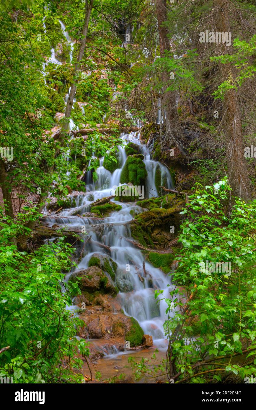 Mountain stream flowing from Hanging Lake along a hiking trail in ...