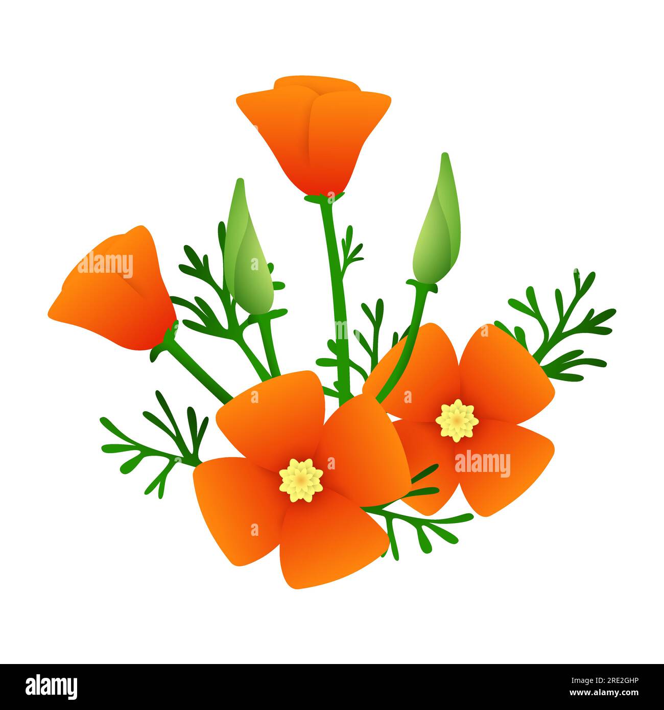 Red flowers blooming bush Stock Vector Images - Alamy