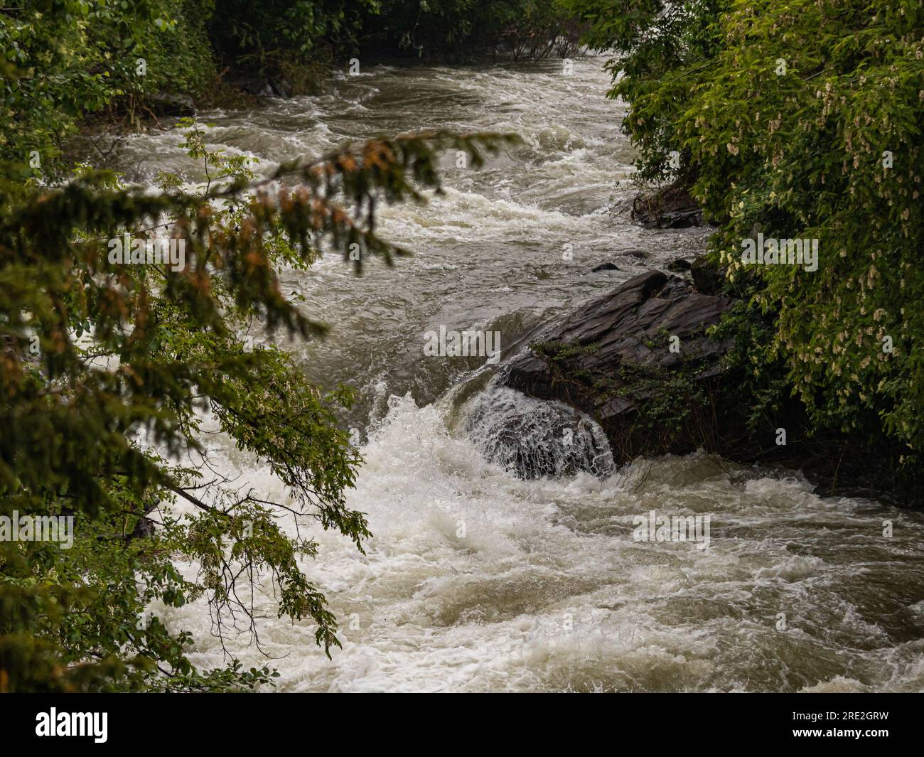 mountain stream swollen by heavy rains Stock Photo - Alamy