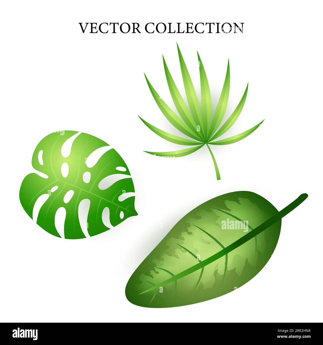 Tropical greenery label Stock Vector Images - Alamy