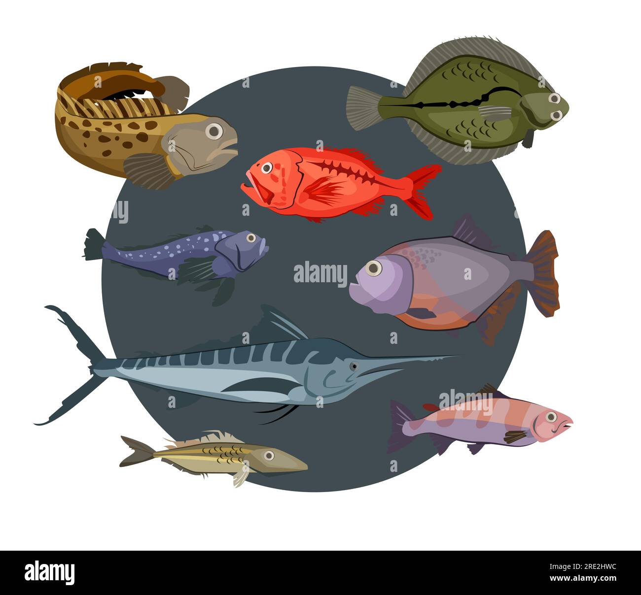 Fish set illustration Stock Vector Image & Art - Alamy