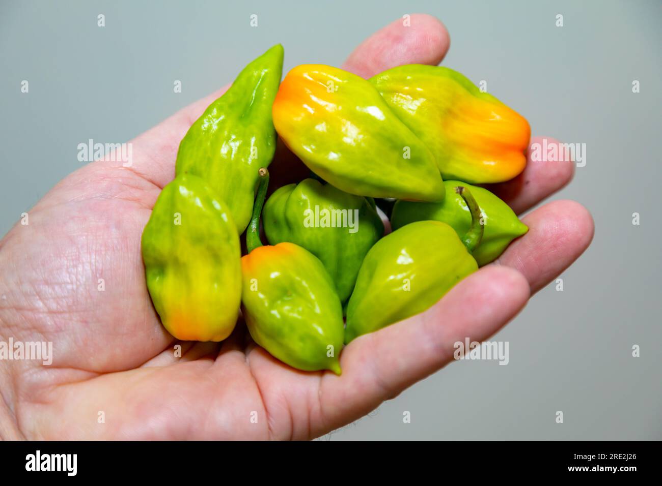Pimenta de cheiro hi-res stock photography and images - Alamy