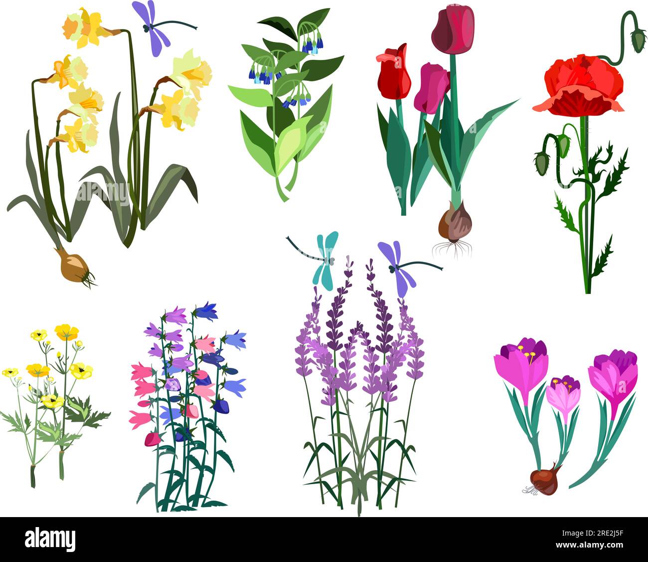 Set of spring flowers Stock Vector Image & Art - Alamy