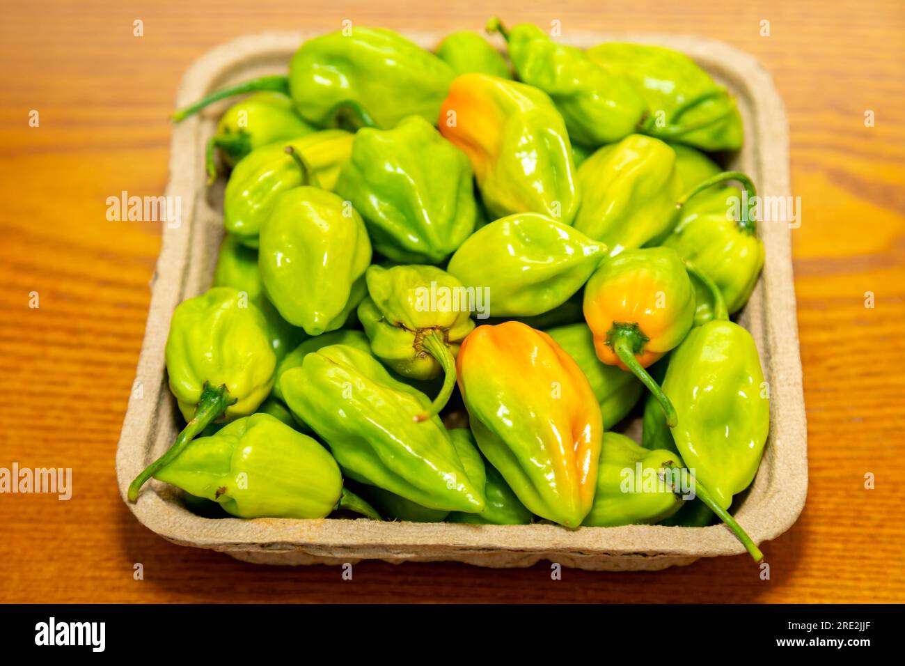 Group of hot pepper (Capsicum chinense Adjuma) in selective focus and ...