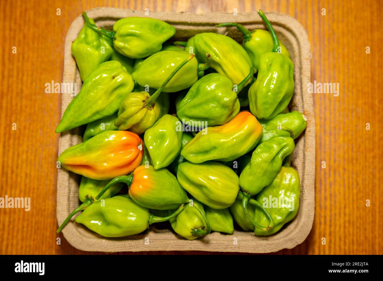 Group of hot pepper (Capsicum chinense Adjuma) in selective focus and ...