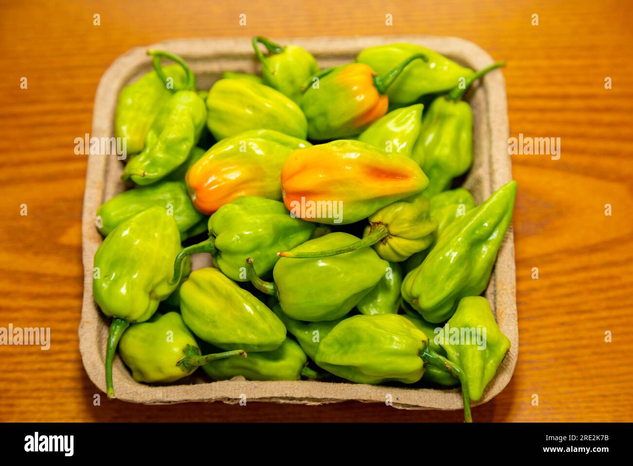 Group of hot pepper (Capsicum chinense Adjuma) in selective focus and ...