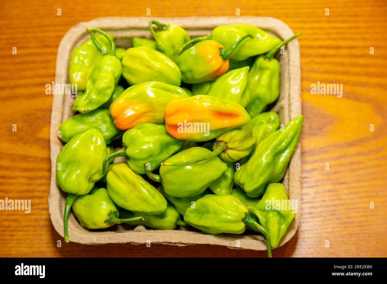Group of hot pepper (Capsicum chinense Adjuma) in selective focus and ...