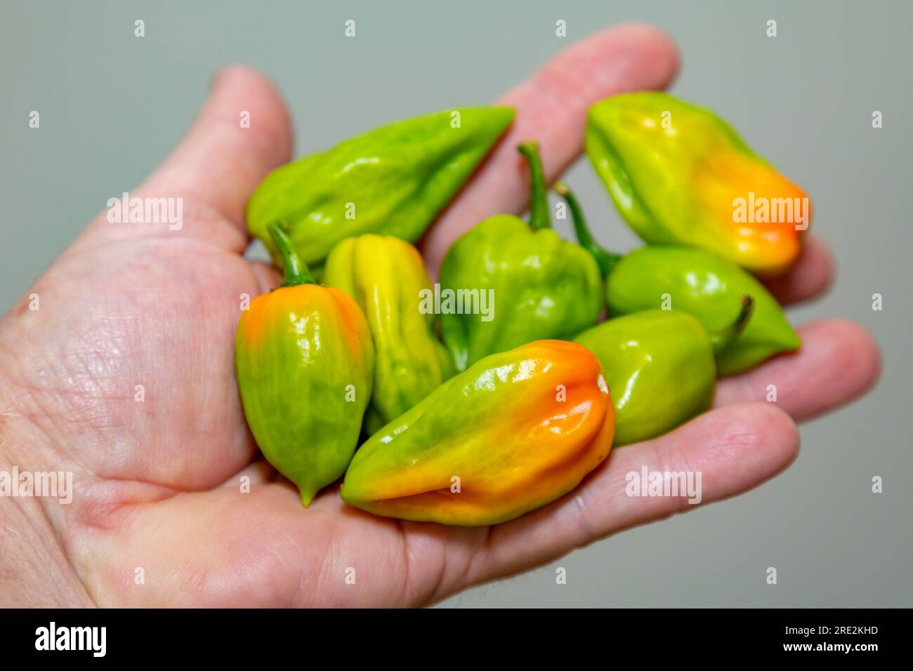 Pimenta de cheiro hi-res stock photography and images - Alamy