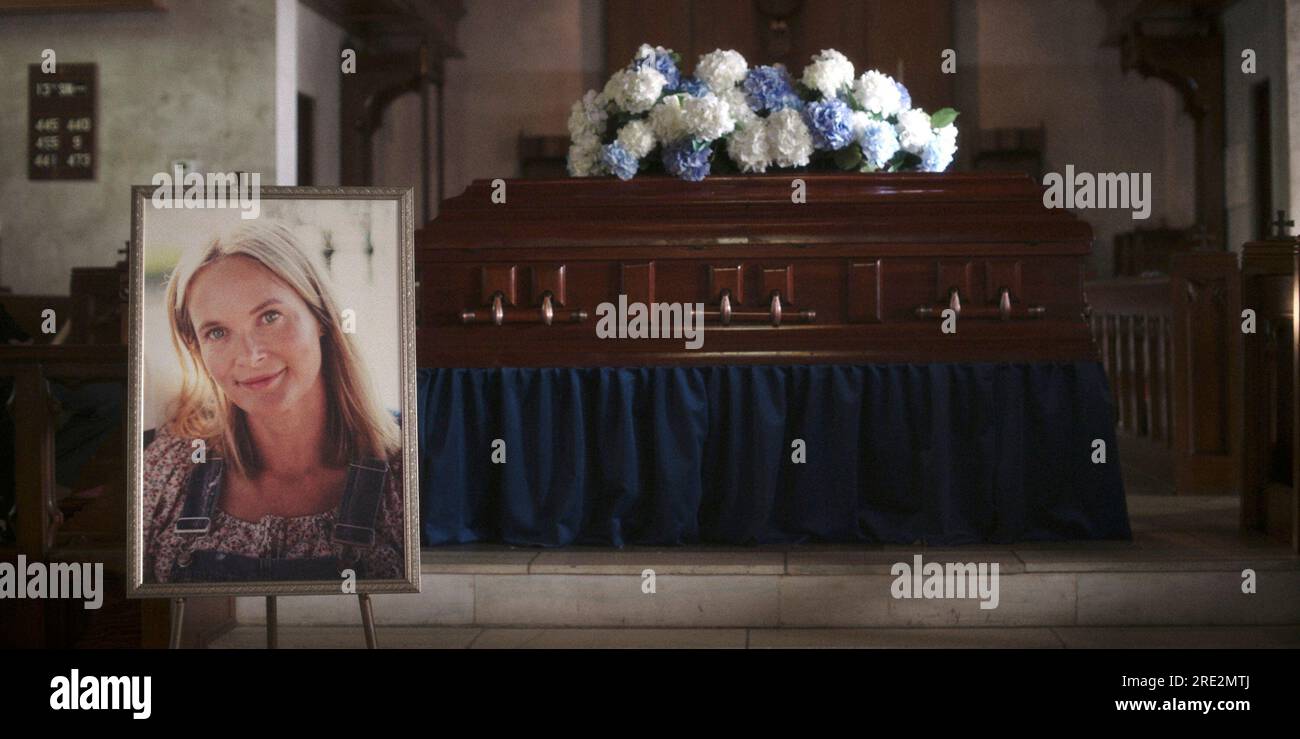 THE SUMMER I TURNED PRETTY, Rachel Blanchard, 'Love Sick', (Season 2 ...