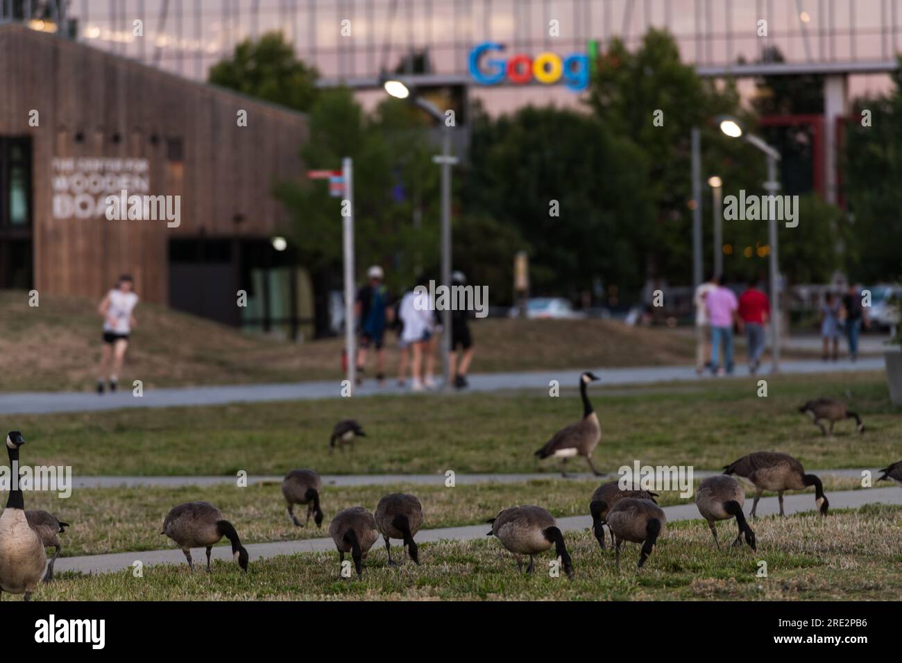 Seattle, USA. 20th July, 2023. Google HQ in South Lake Union by the SLU ...
