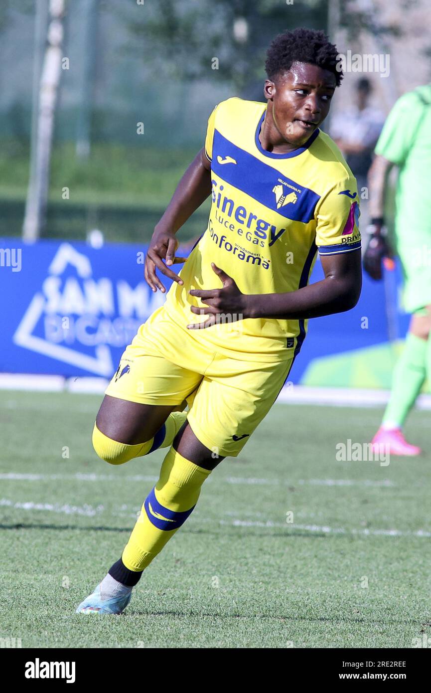 Alphadjo hi-res stock photography and images - Alamy