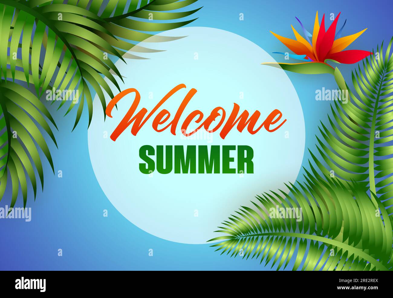 Template welcome tropical design Stock Vector Images - Alamy