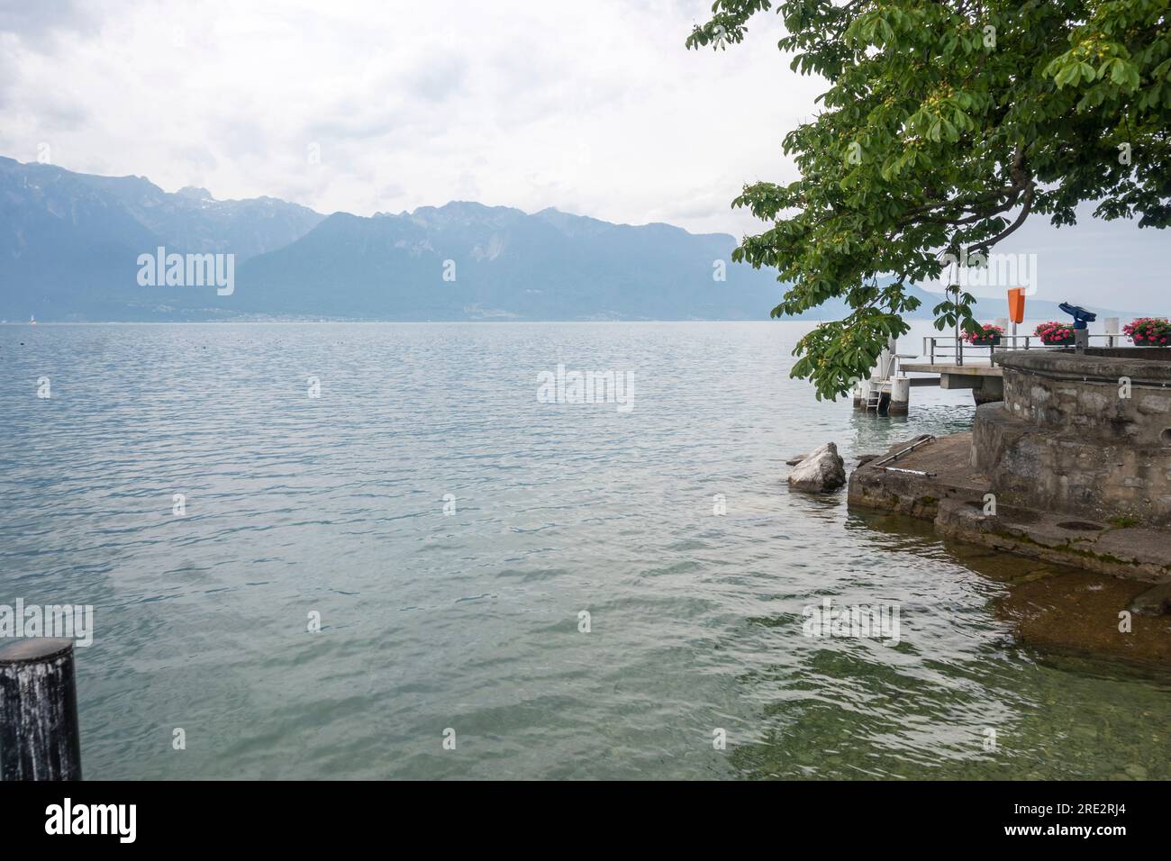 Summer Landscape from town of Vevey to Lake Geneva, Canton of Vaud ...