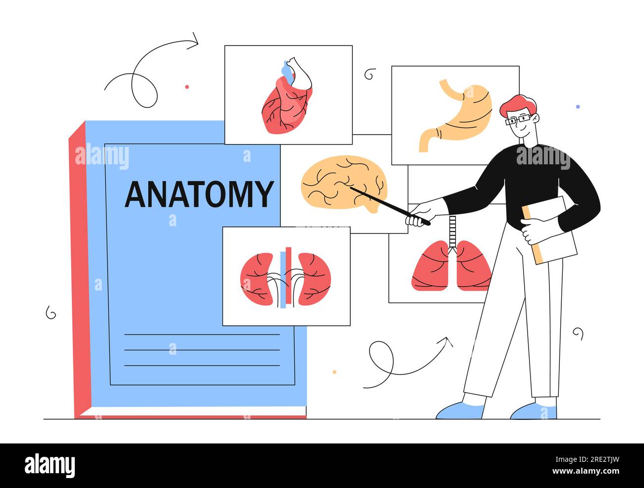 Man in glasses with anatomy line vector concept Stock Vector Image ...