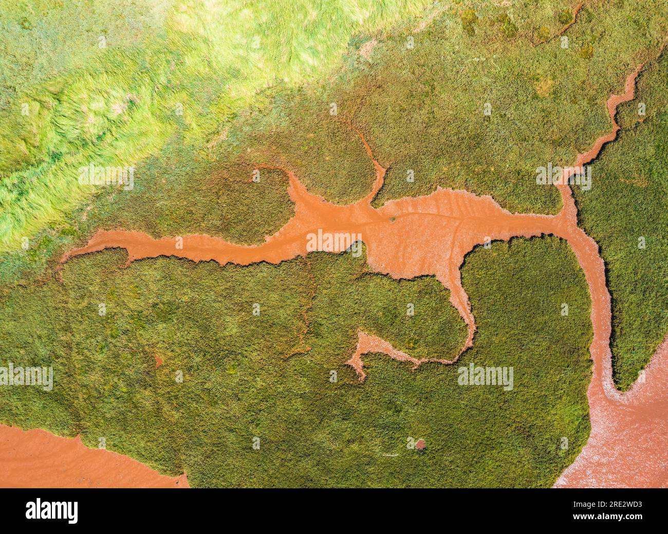 Top Down over River Otter Estuary Nature Reserve from a drone, Budleigh ...