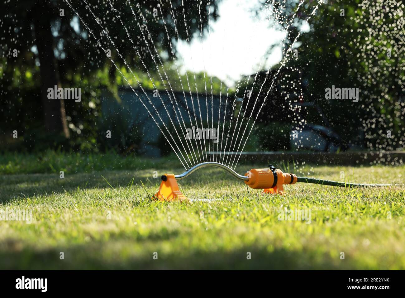 Automatic sprinkler watering green grass on lawn in garden. Irrigation ...