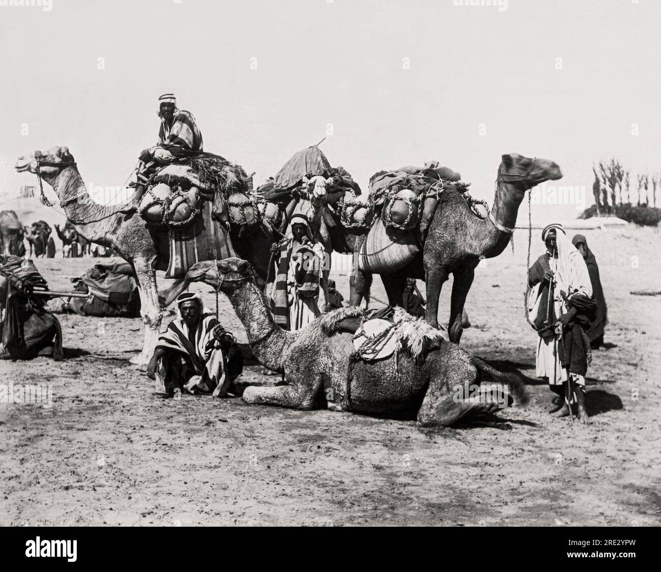 Egypt: c. 1890 A camel caravan at the Suez Canal Stock Photo - Alamy