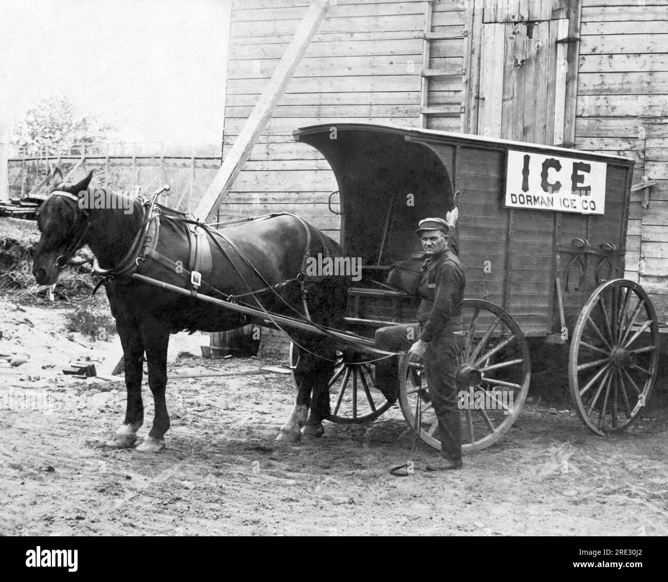 Horse only sign Black and White Stock Photos & Images - Alamy