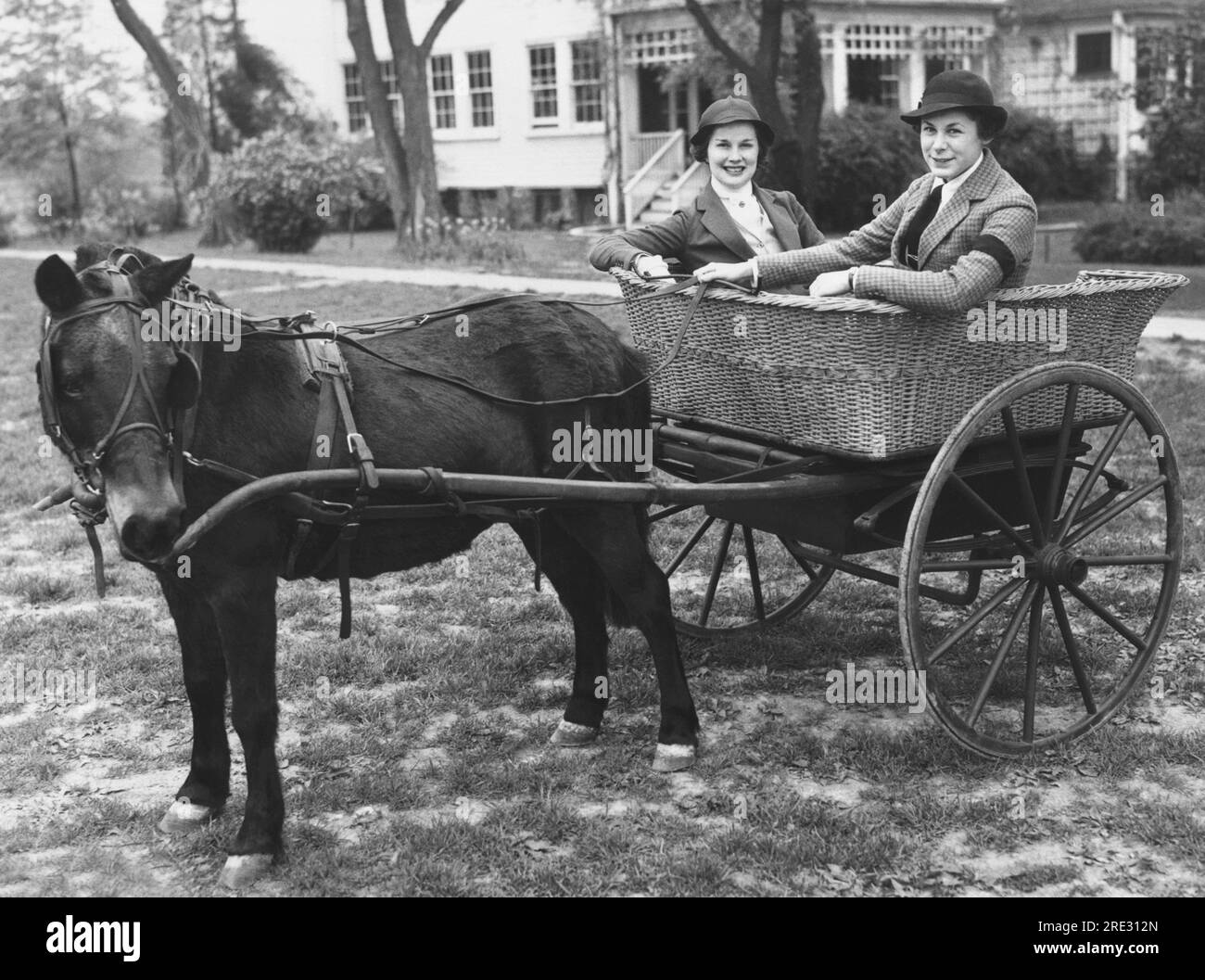 Pony cart hi-res stock photography and images - Alamy