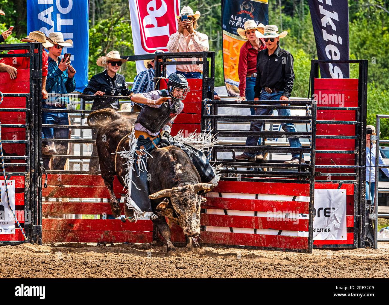 Erin ram rodeo hi-res stock photography and images - Alamy