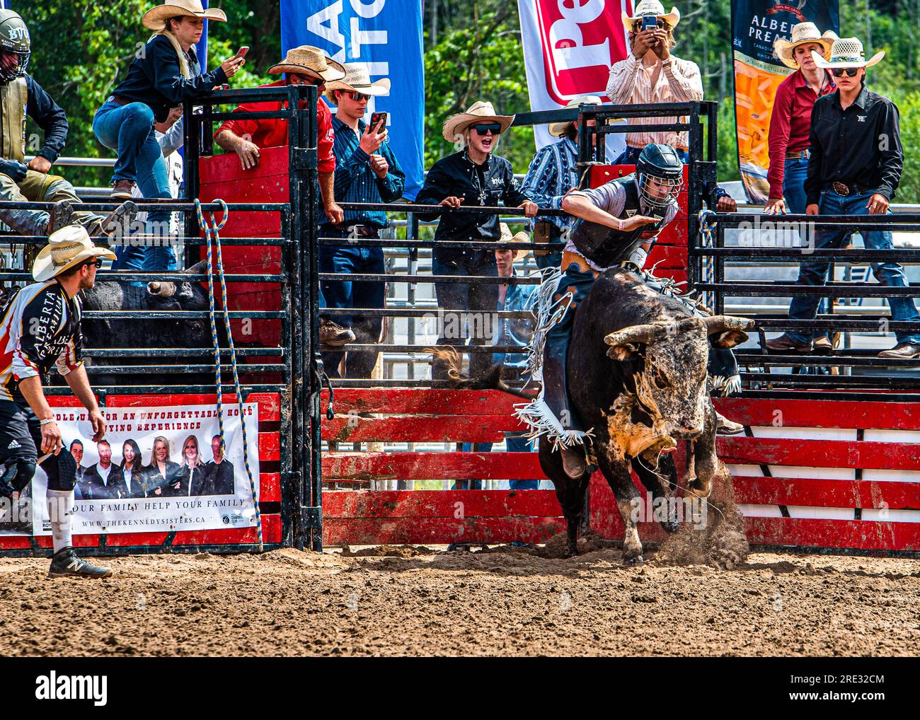 Erin ram rodeo hi-res stock photography and images - Alamy