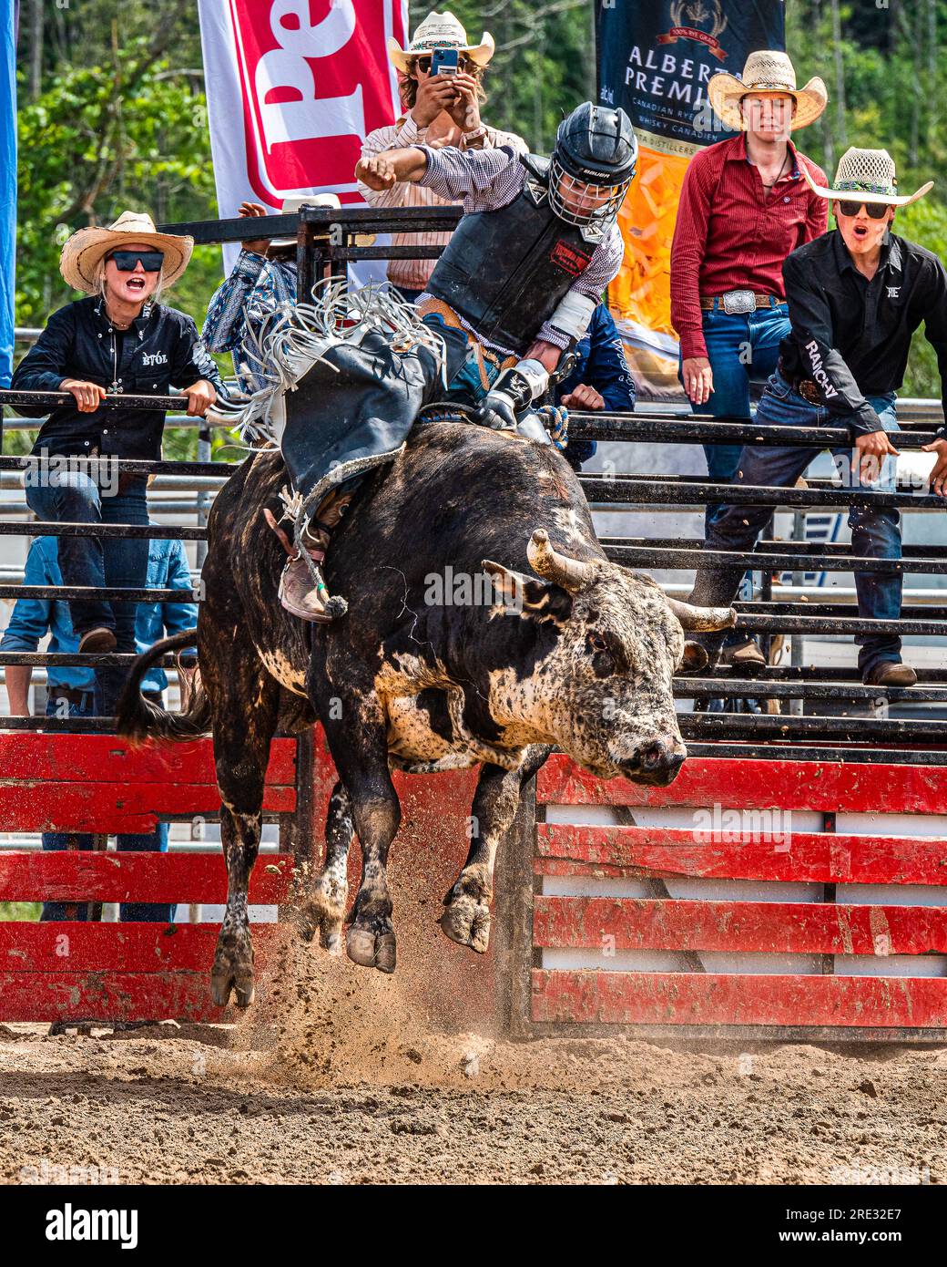Ram rodeo alberta hi-res stock photography and images - Alamy